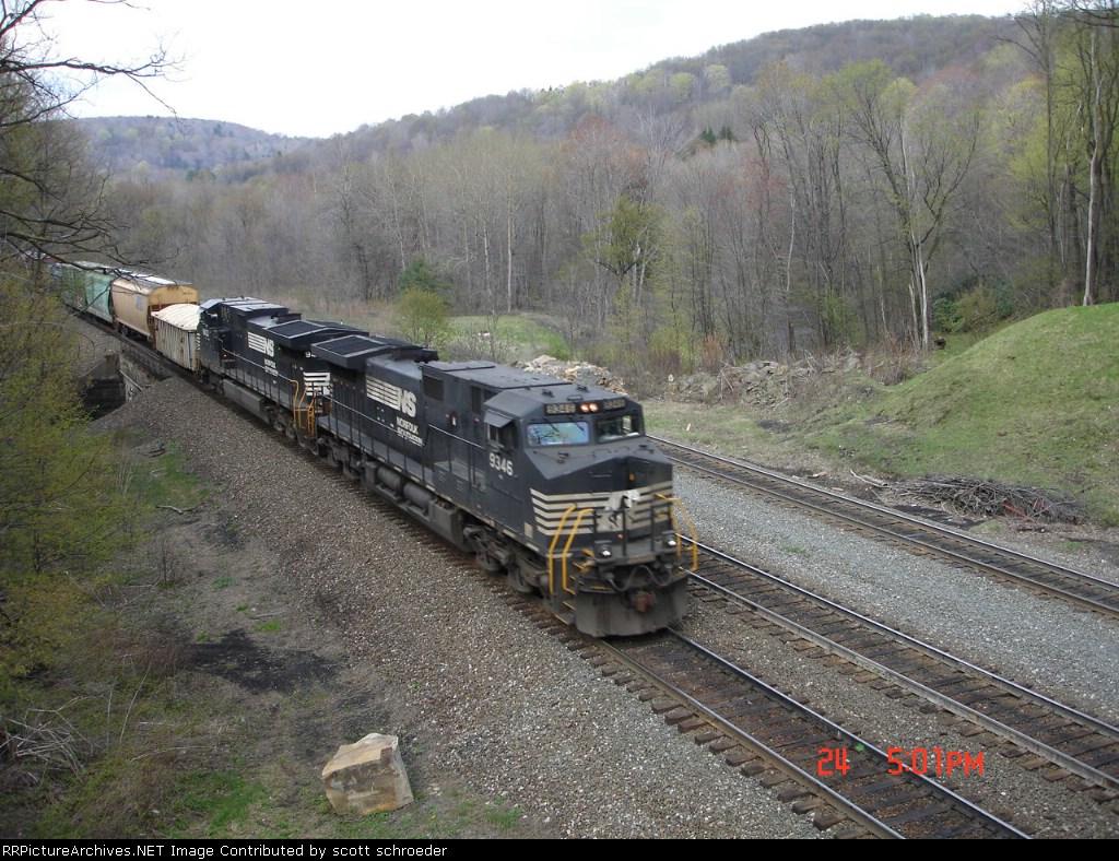 NS 9346 & NS 9433 head WB